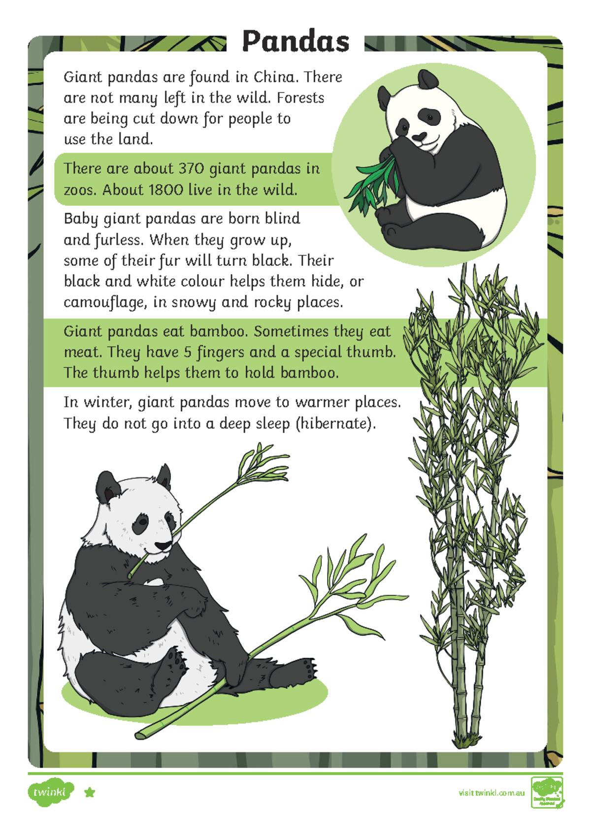 Giant Pandas: Facts and Questions about Their Habitat and Survival ...