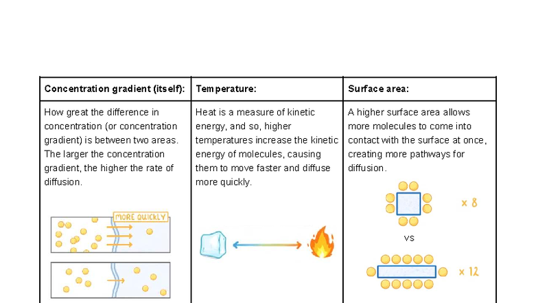 Factors Affecting Rate of Diffusion: Concentration Gradient & More ...
