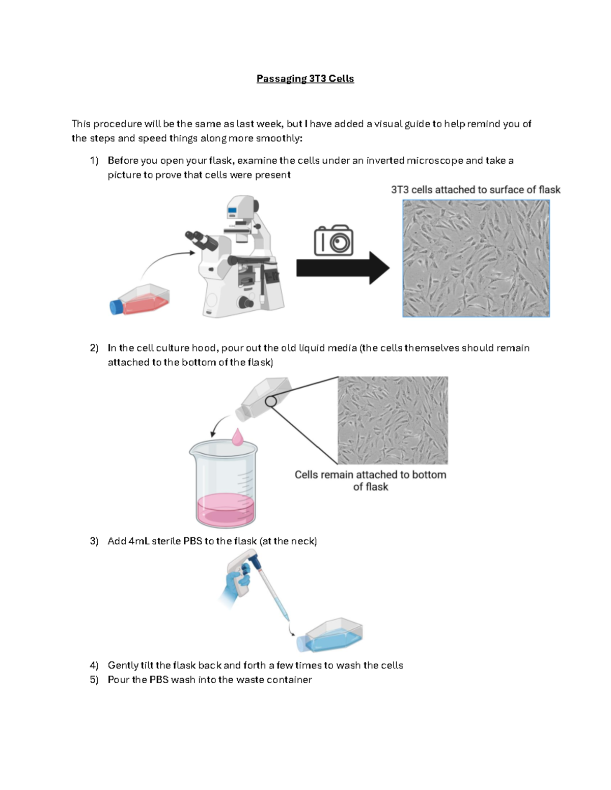 Passaging 3T3 Cells - lab manual - Passaging 3T3 Cells This procedure ...