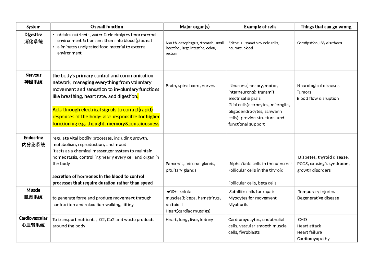 Organ Systems Overview: Digestive, Nervous, Endocrine, Muscle ...