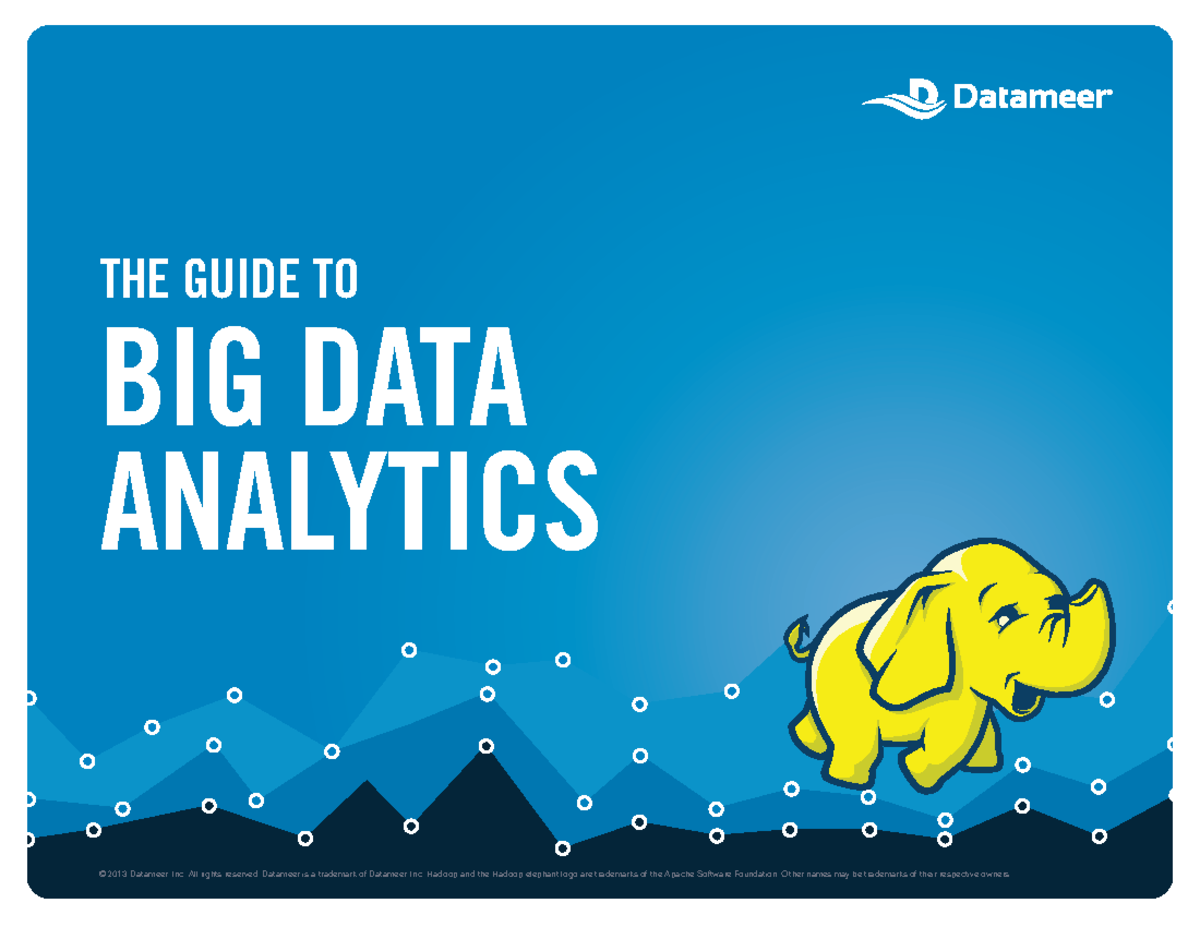 Datameer WP The Guide to Big Data Analytics - THE GUIDE TO BIG DATA ...