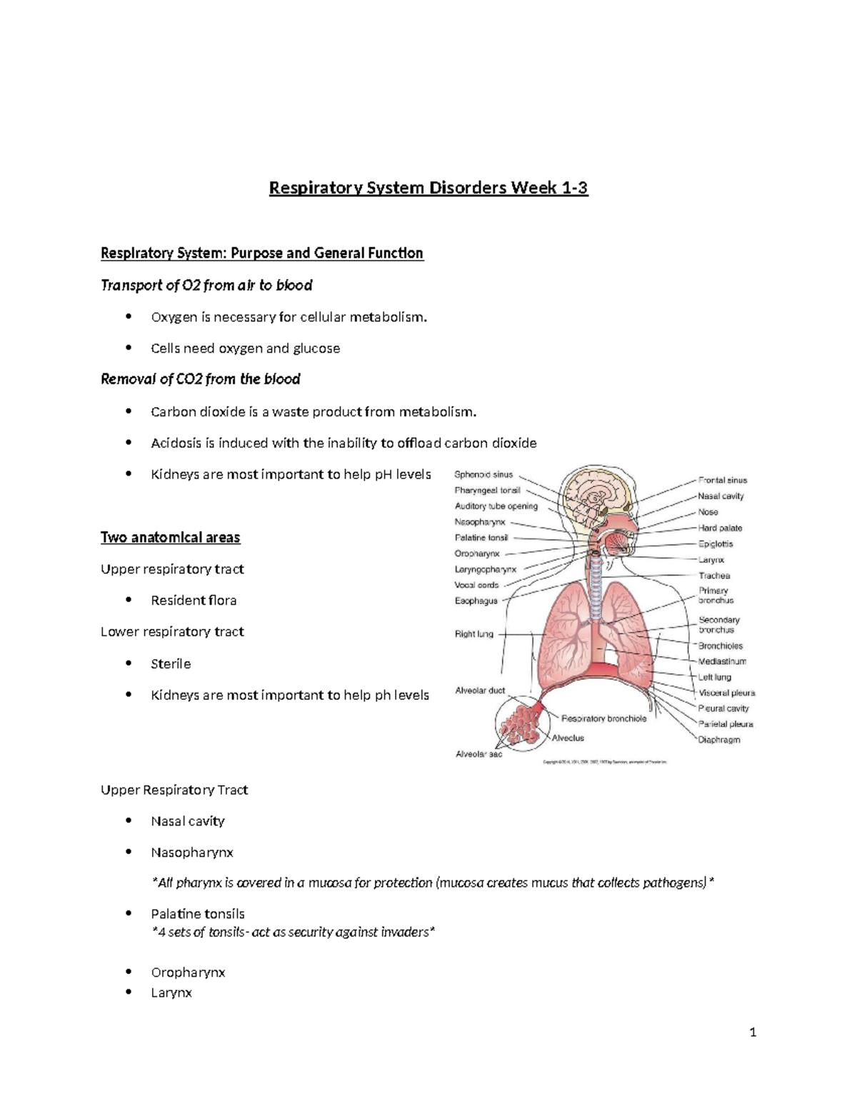 Respiratory System Disorders: Test 1 Review for Course Code RSPT101 ...