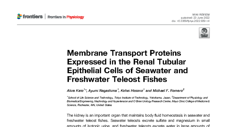 Membrane Transport Proteins in Teleost Fish Kidneys: A Mini Review ...