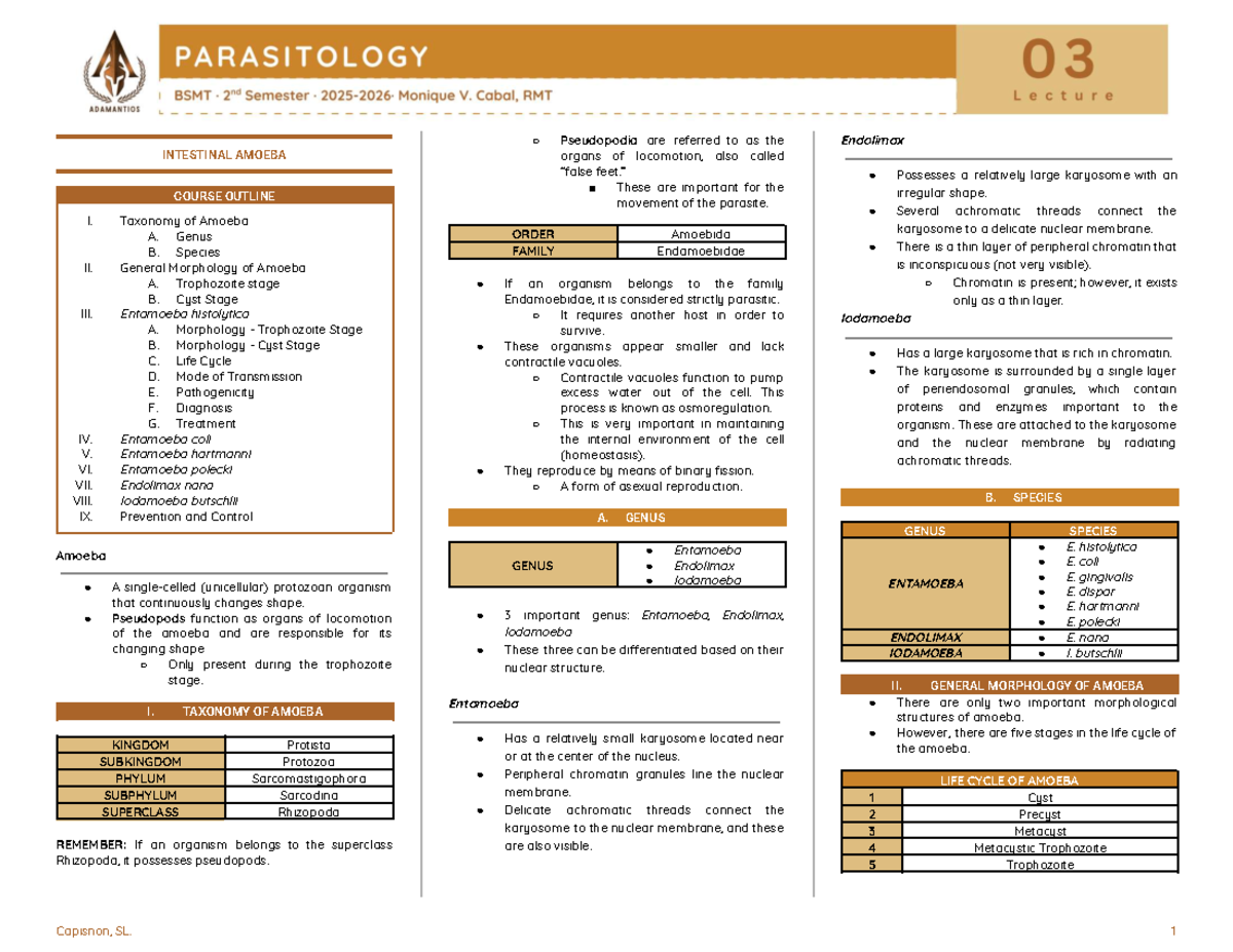 Course Outline: Intestinal Amoeba and Their Morphology - Studocu