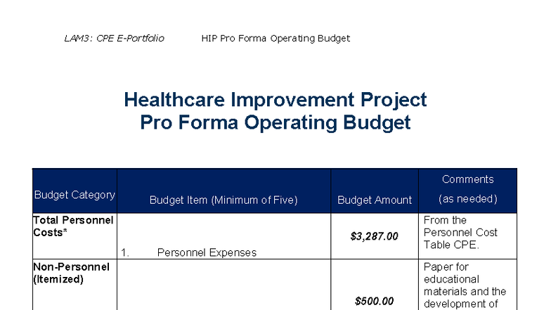 Pro Forma Operating Budget Template - LAM3: CPE E-Portfolio HIP Pro ...