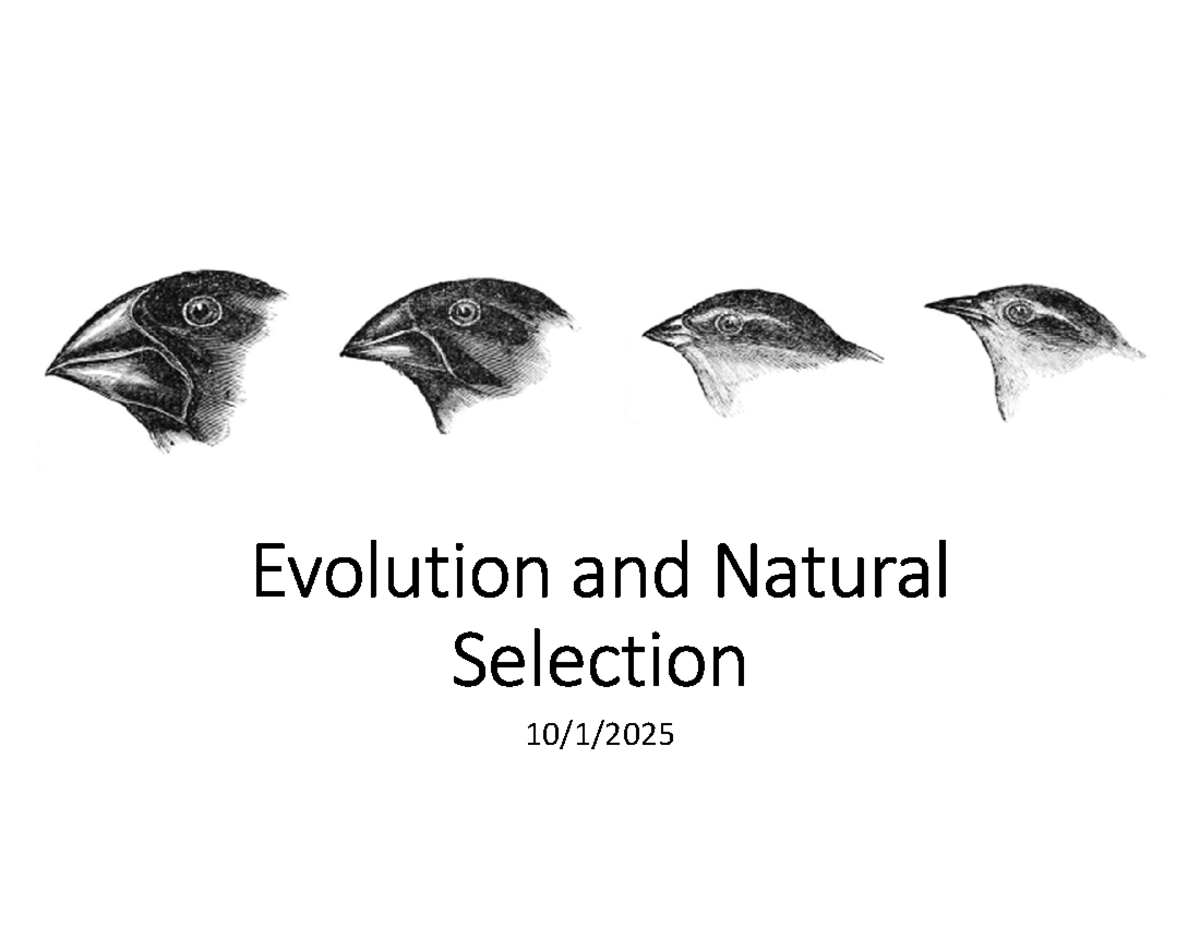 Natural Selection & Evolution: Key Concepts (BIO 101) - Studocu