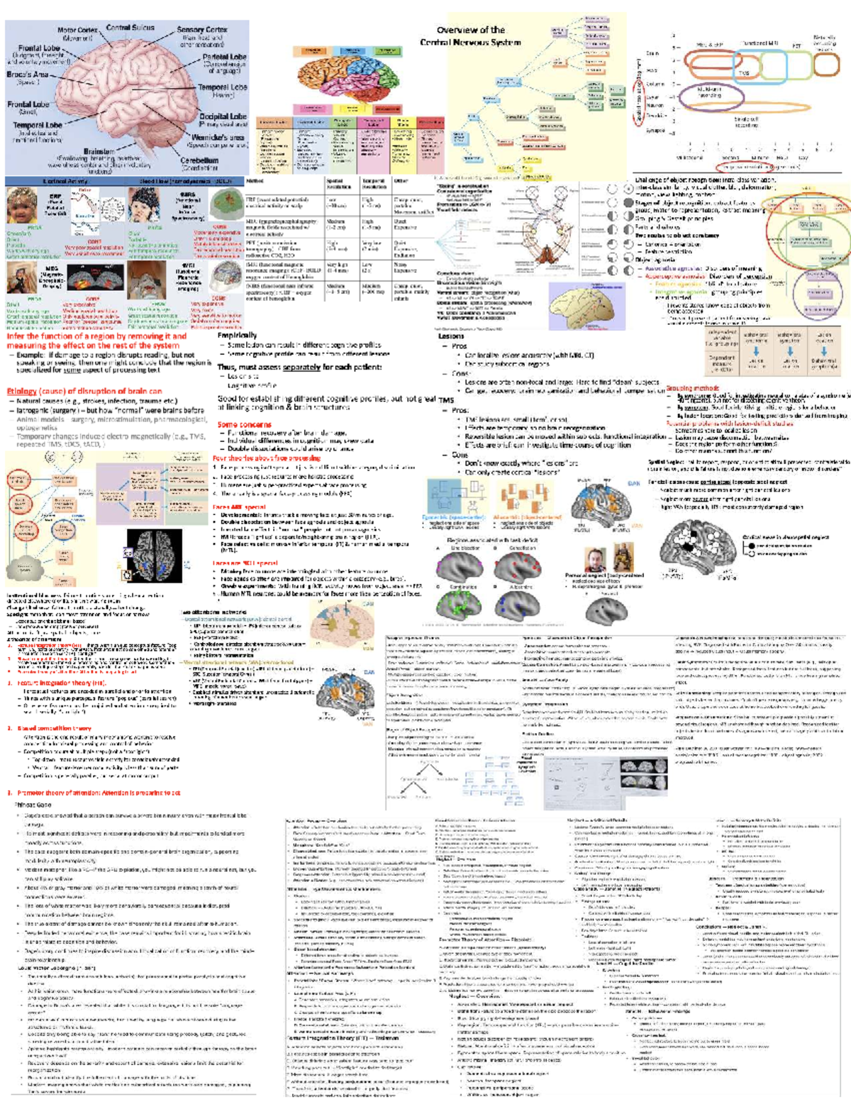 Cognitive Neuroscience 01 185 430 Midterm 1 Study Guide - Studocu