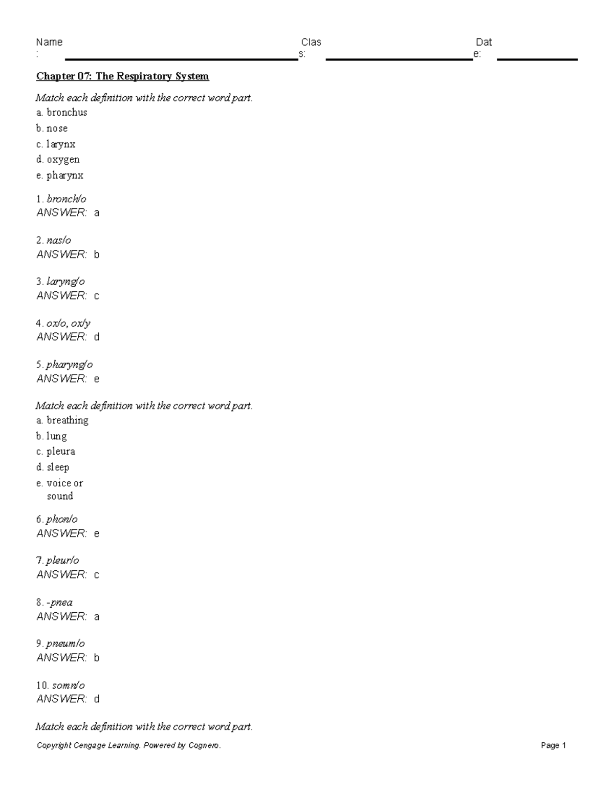 Chapter 07: The Respiratory System - Key Terms and Definitions - Studocu