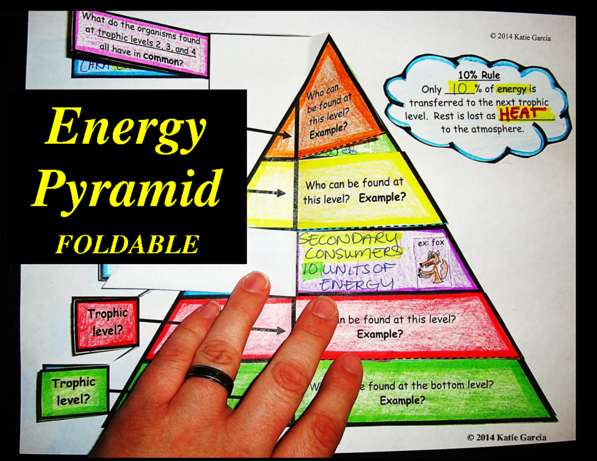 Energy pyramid foldable - © 2014 Katie Garcia Energy Pyramid FOLDABLE ...