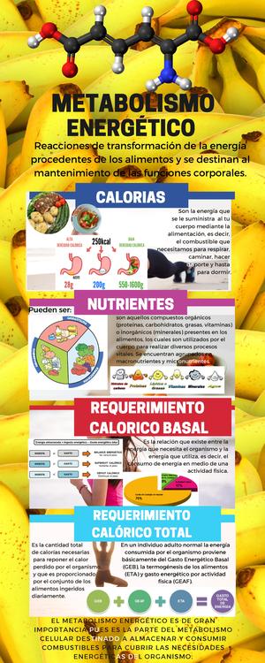 Cultura y Tradición de la Región Centro Occidental de Venezuela ...