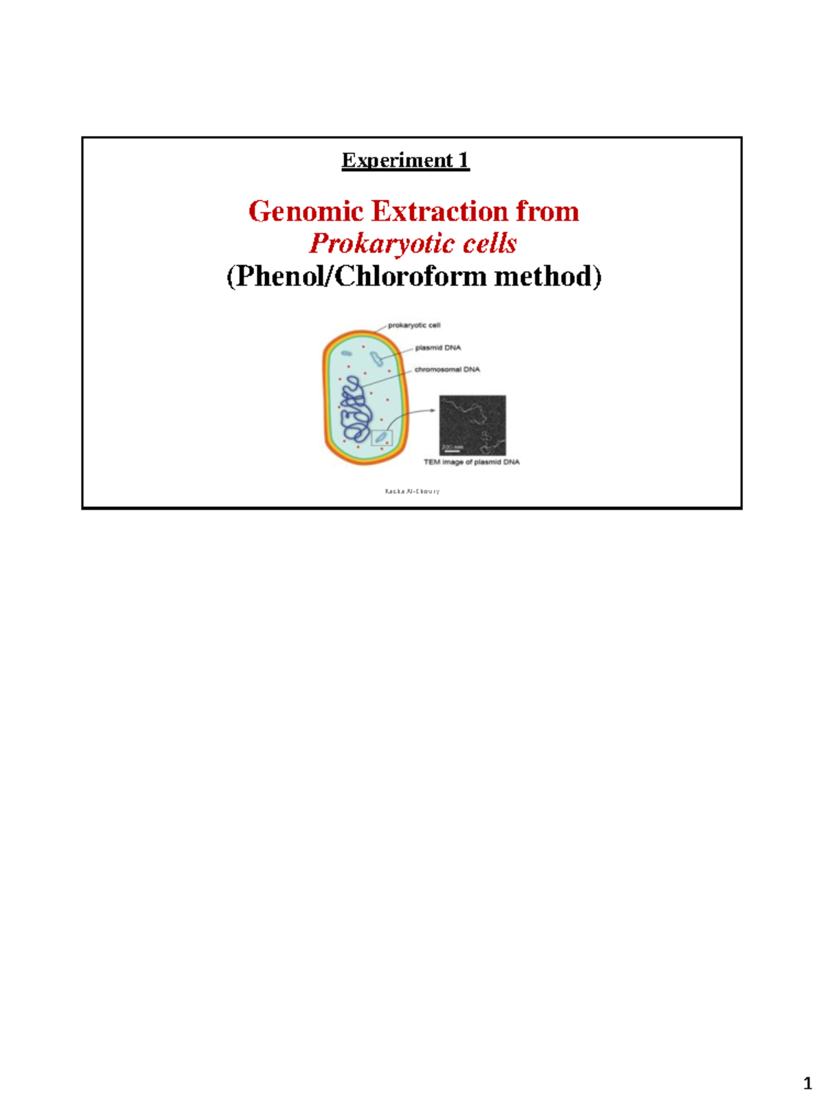 Protocol for Genomic DNA Extraction from Prokaryotic Cells (Experiment ...