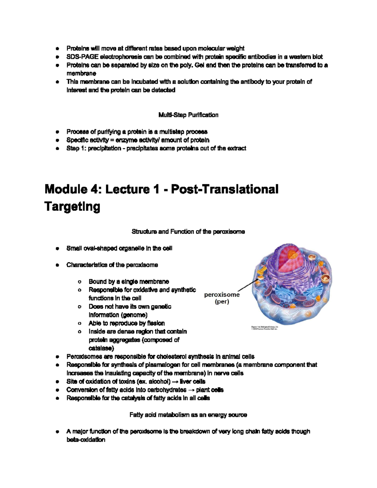Module 4 lecture 1 - Biology 2B03 - Studocu