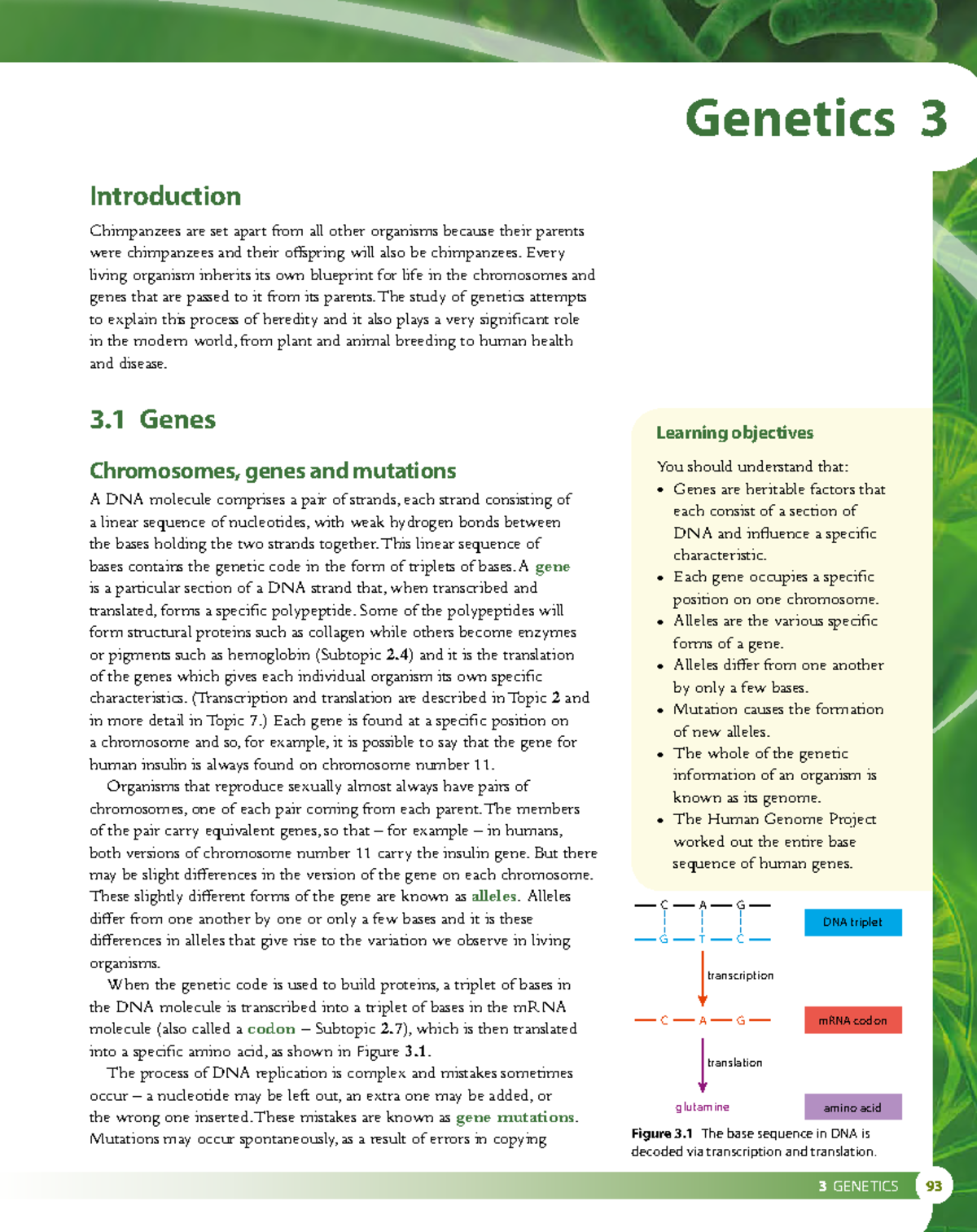 Biology IB DP Chapter 3 - Genetics: Heredity, Genes, and Mutations ...