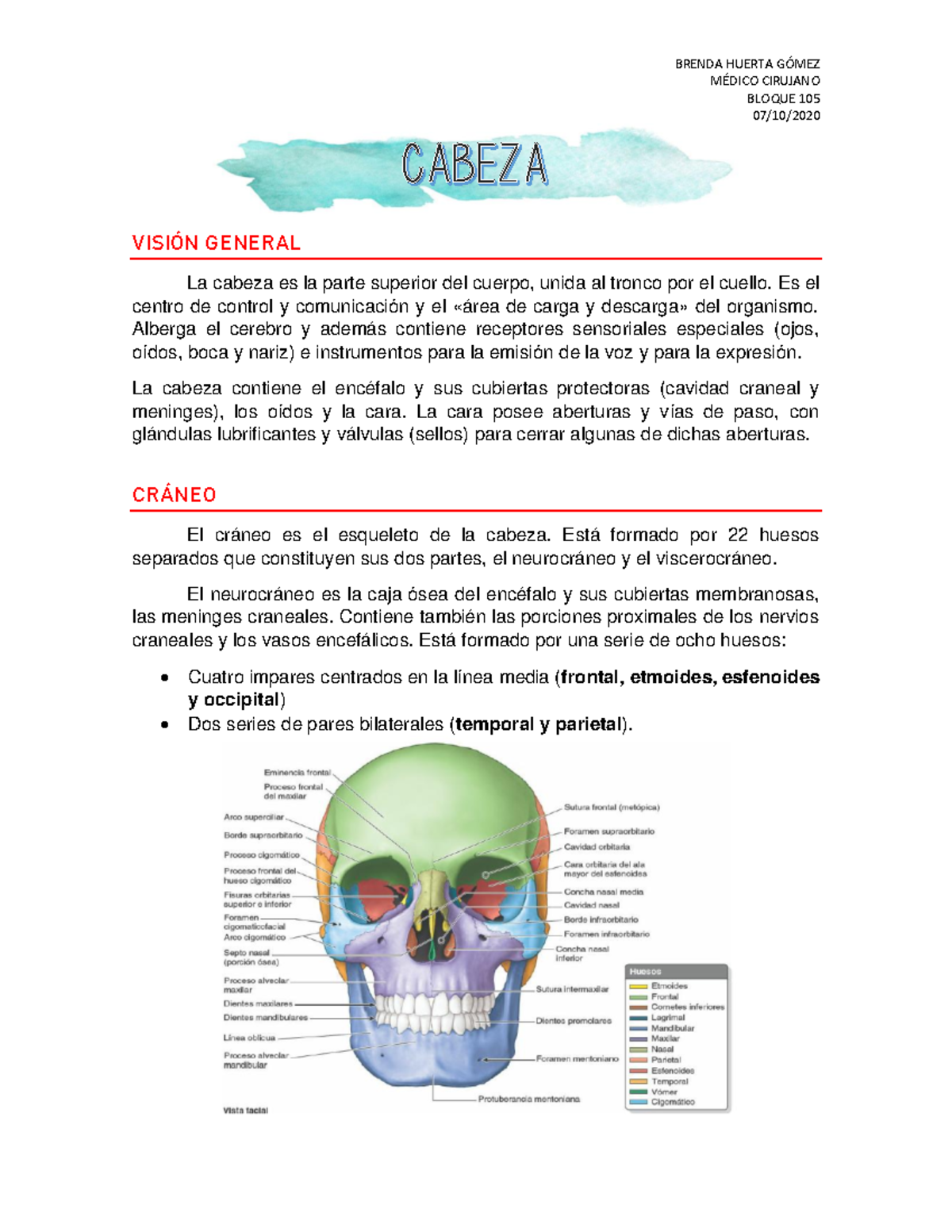 Cráneo, primera parte, MOORE - Warning: TT: undefined function: 32 MÉDICO CIRUJANO BLOQUE 105 07 ...