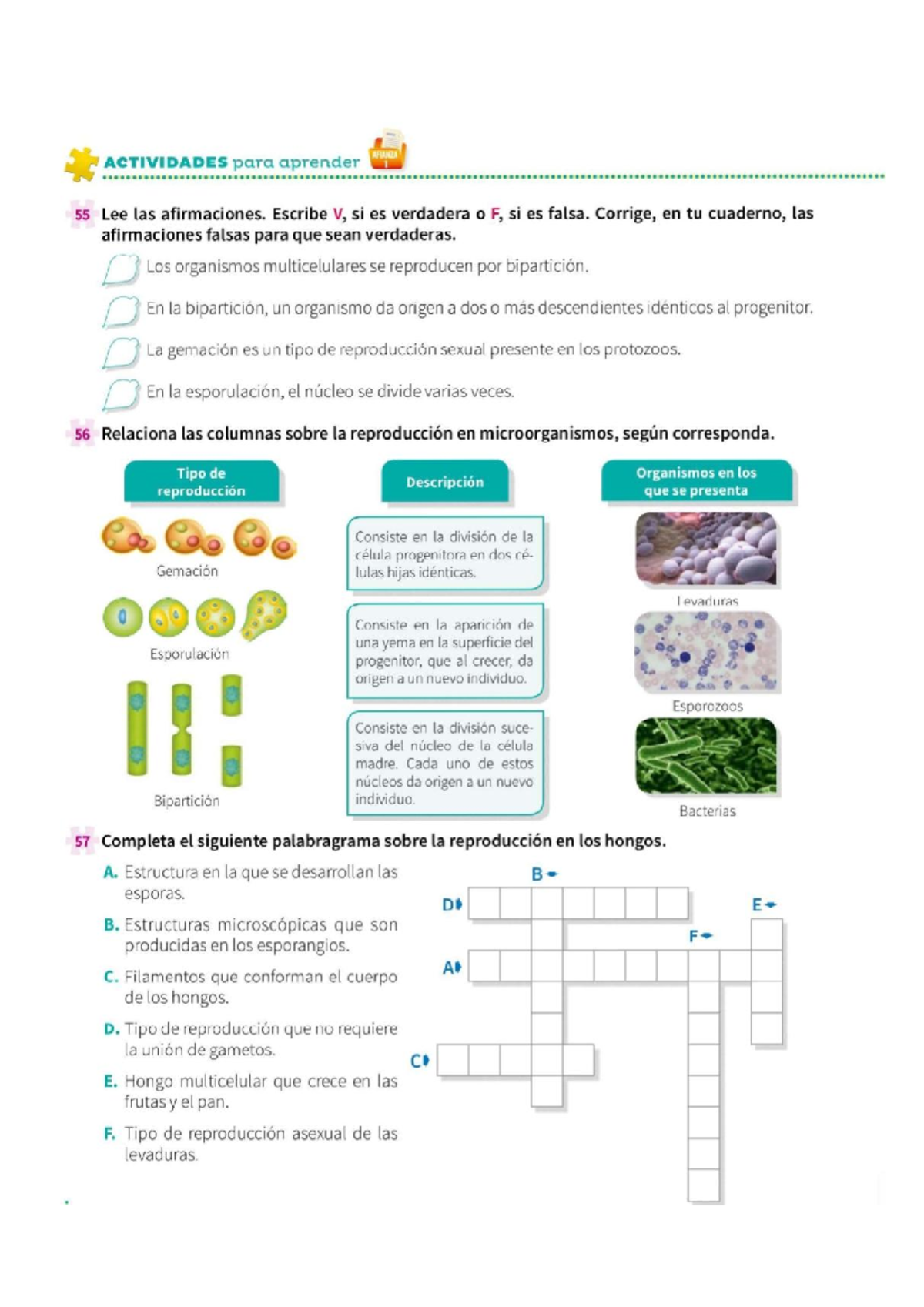 Actividad 5to Grado - Ejercicios y Actividades Ghii - Studocu