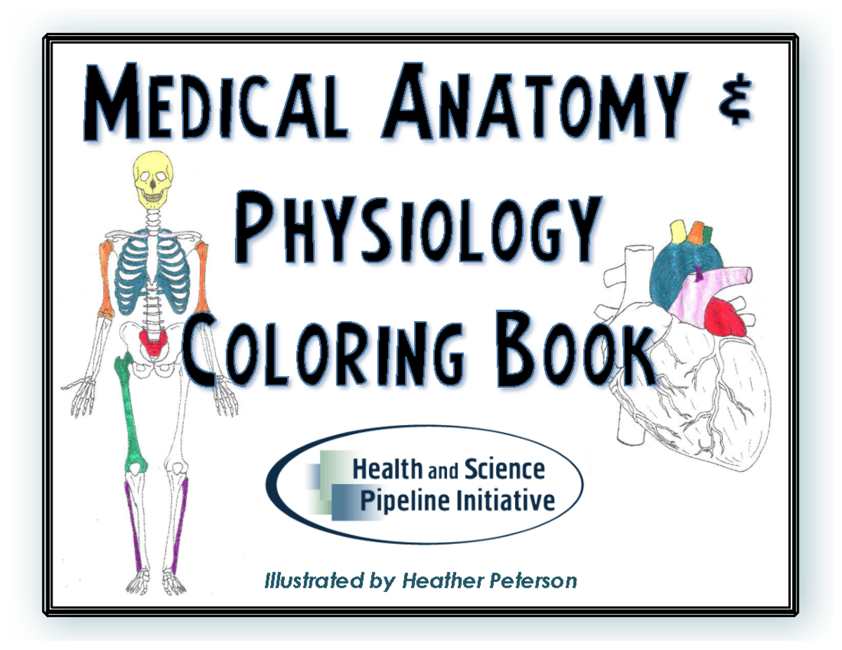 HASPI Coloring Book: Anatomical Features & Medical Procedures - Studocu