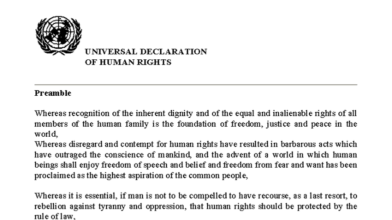 UNIVERSAL DECLARATION OF HUMAN RIGHTS (UDHR) Overview and Articles ...