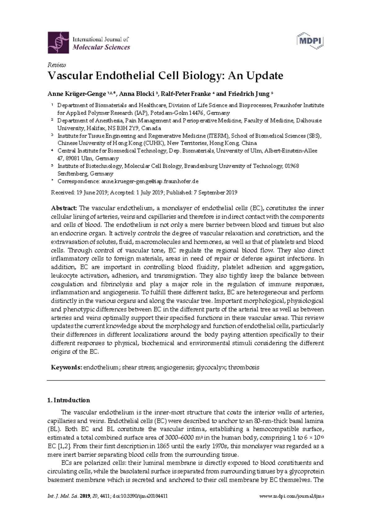 Vascular Endothelial Cell Biology: Functions and Mechanisms (BIOL 10 ...