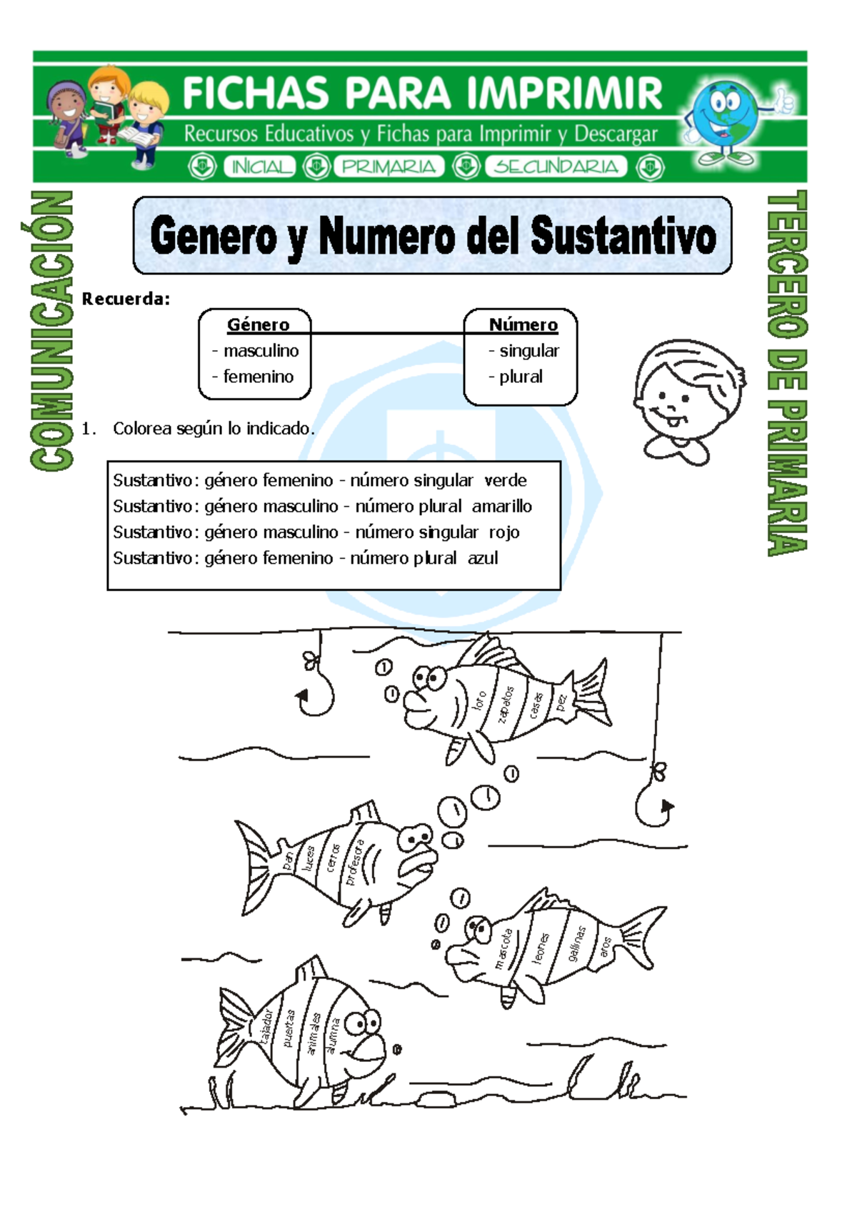 Ficha de Género y Número del Sustantivo para 3er Grado Primaria - Studocu