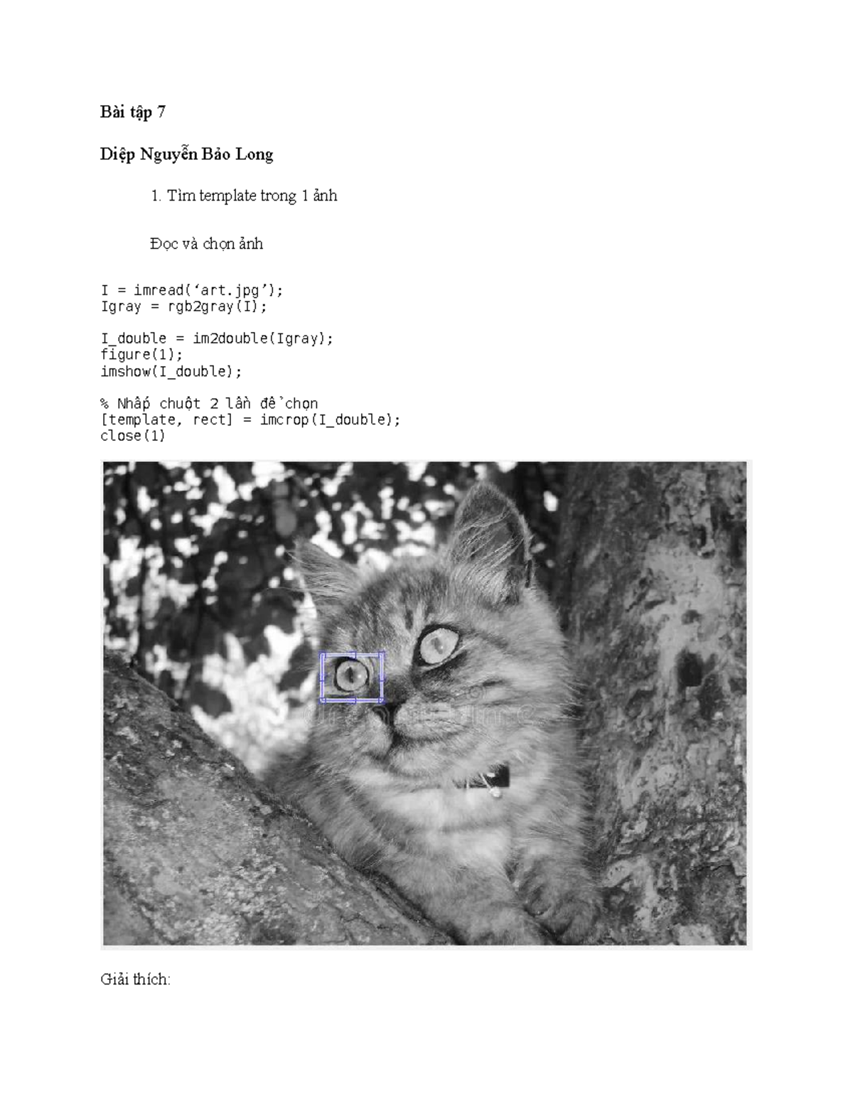 Xử Lý Ảnh Bài Tập 7 - MATLAB - Studocu