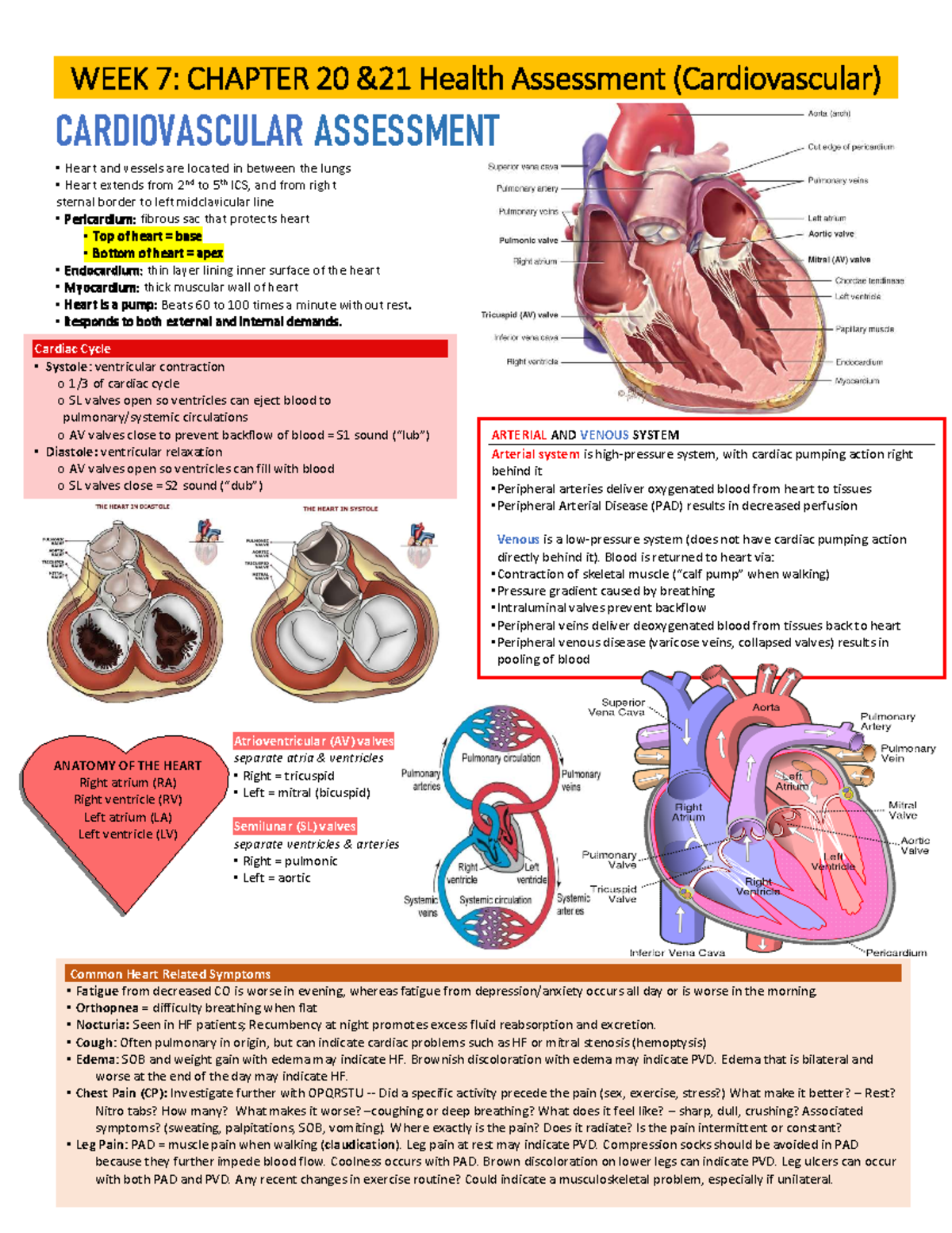 Cardiovascular Health Assessment Notes: Chapters 20 & 21 Overview - Studocu