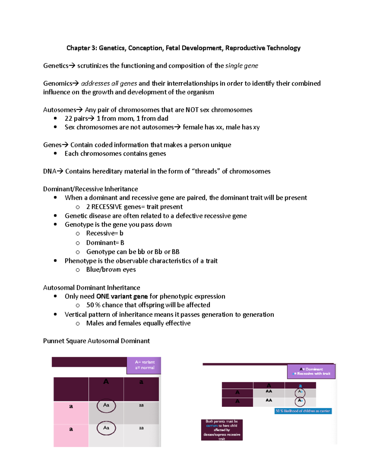 Chapter 3: Genetics, Conception, Fetal Development & Reproductive Tech ...