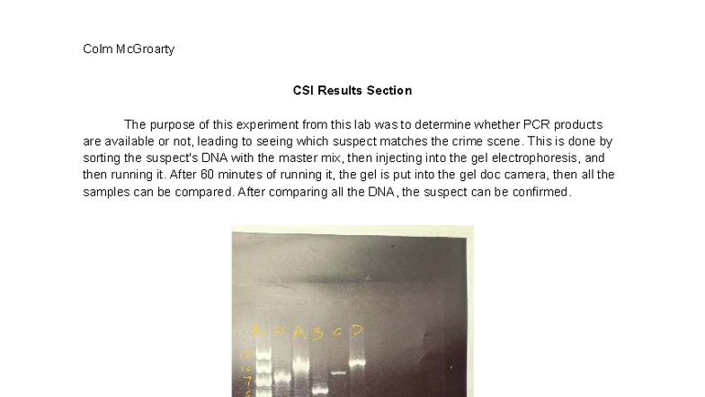 CSI Results Section: PCR Analysis of Crime Scene DNA - Studocu