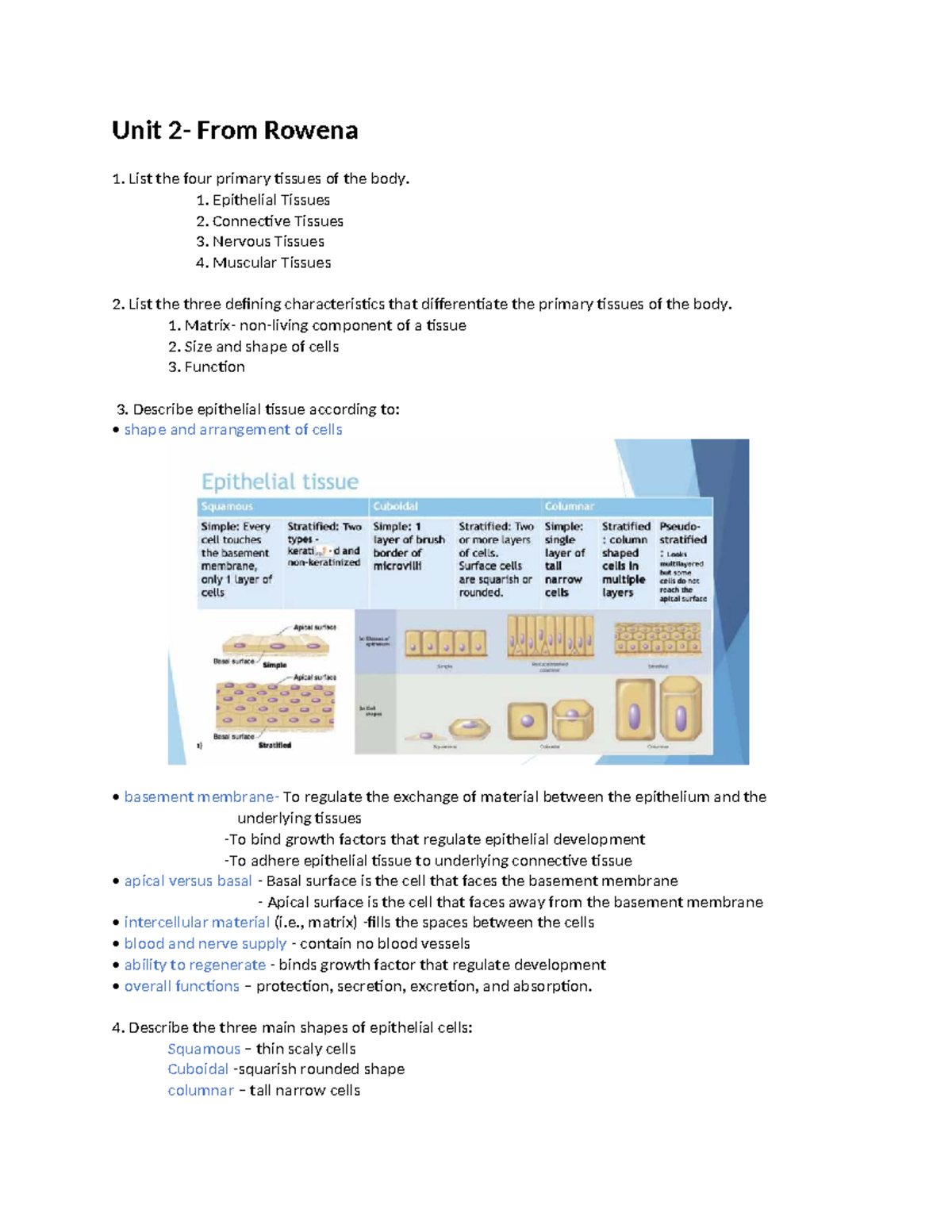 Unit 2 Anatomy: Review Notes on Primary Tissues for Exam - Studocu