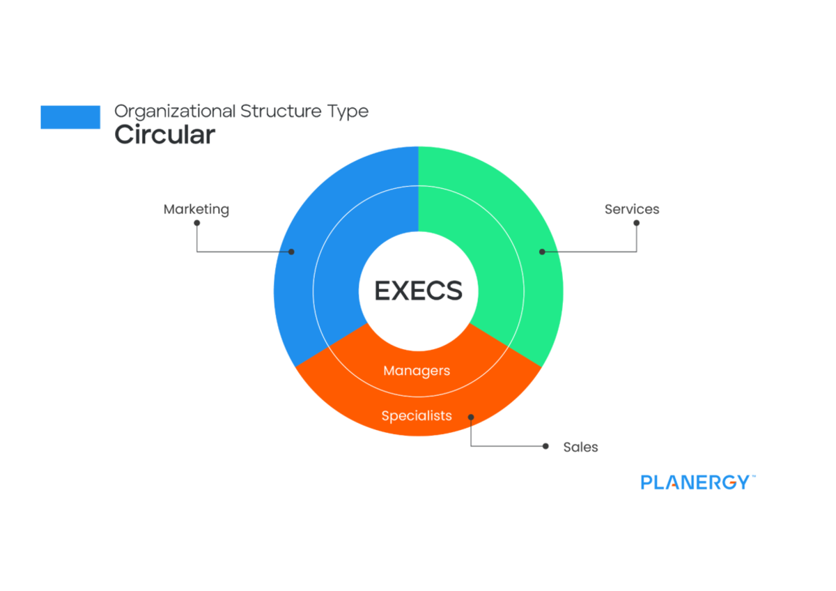 Circular-organizational-structure - Organizational Structure ...