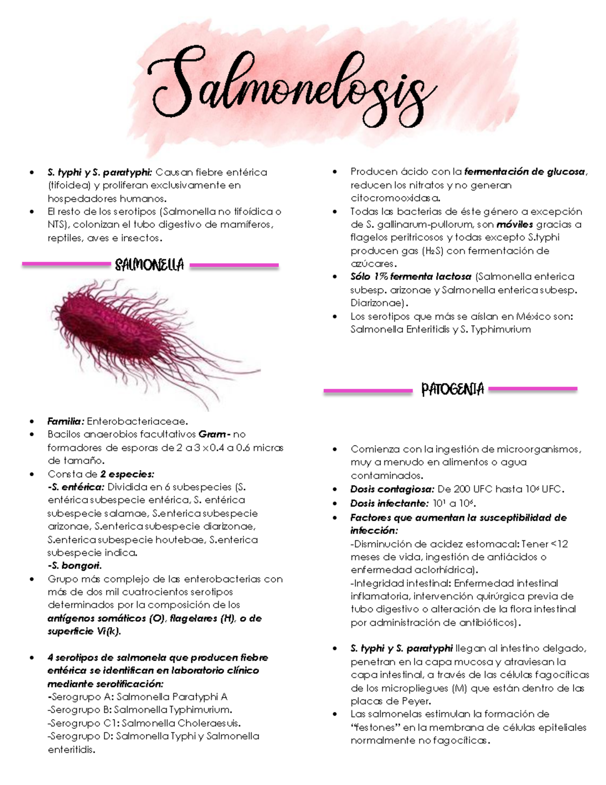 Características y Patogenia de Salmonella (Curso Biología 101) - Studocu