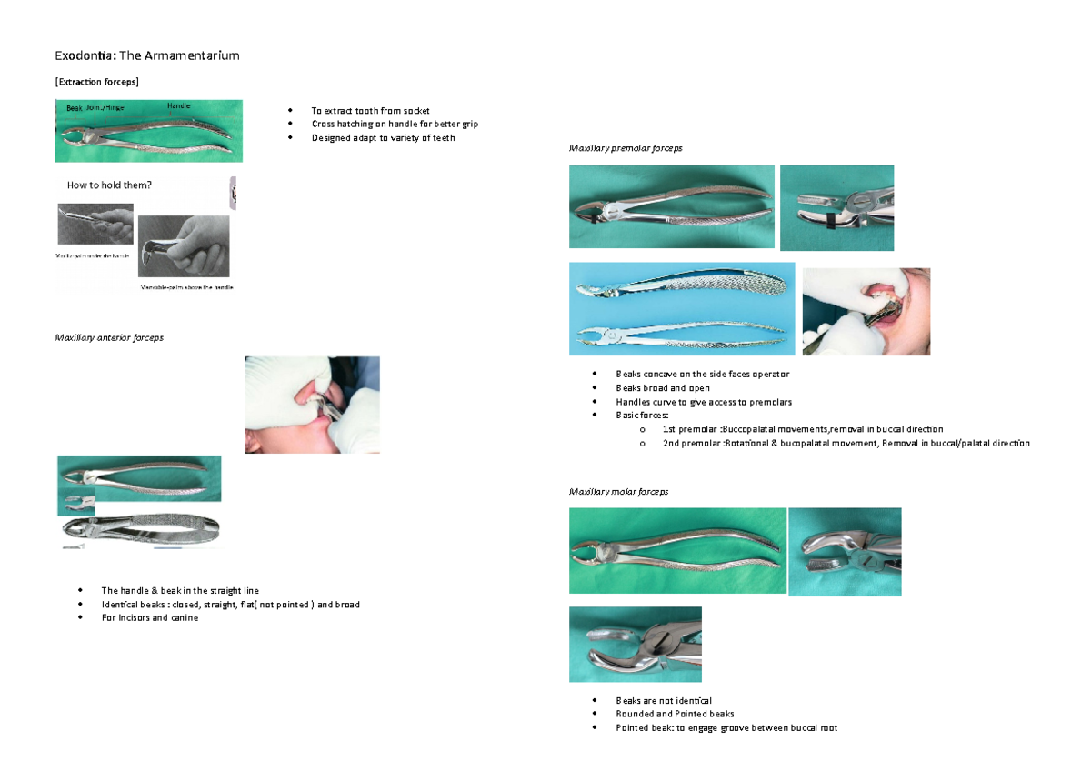 Exodontia Armamentarium: Essential Instruments for Tooth Extraction ...