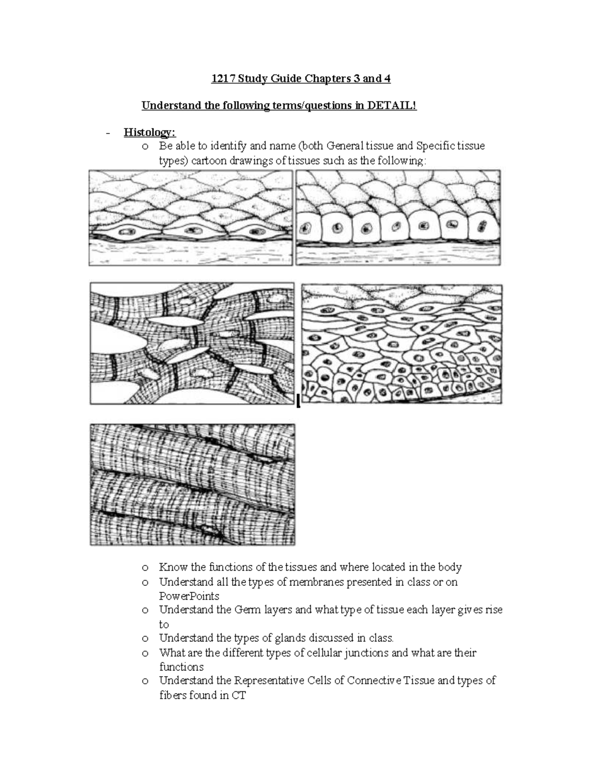 1217 Study Guide: Key Concepts for Chapters 3 & 4 in Histology - Studocu