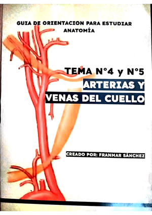 Principio de autonomia y consentimiento informado - BIOETICA EL ...