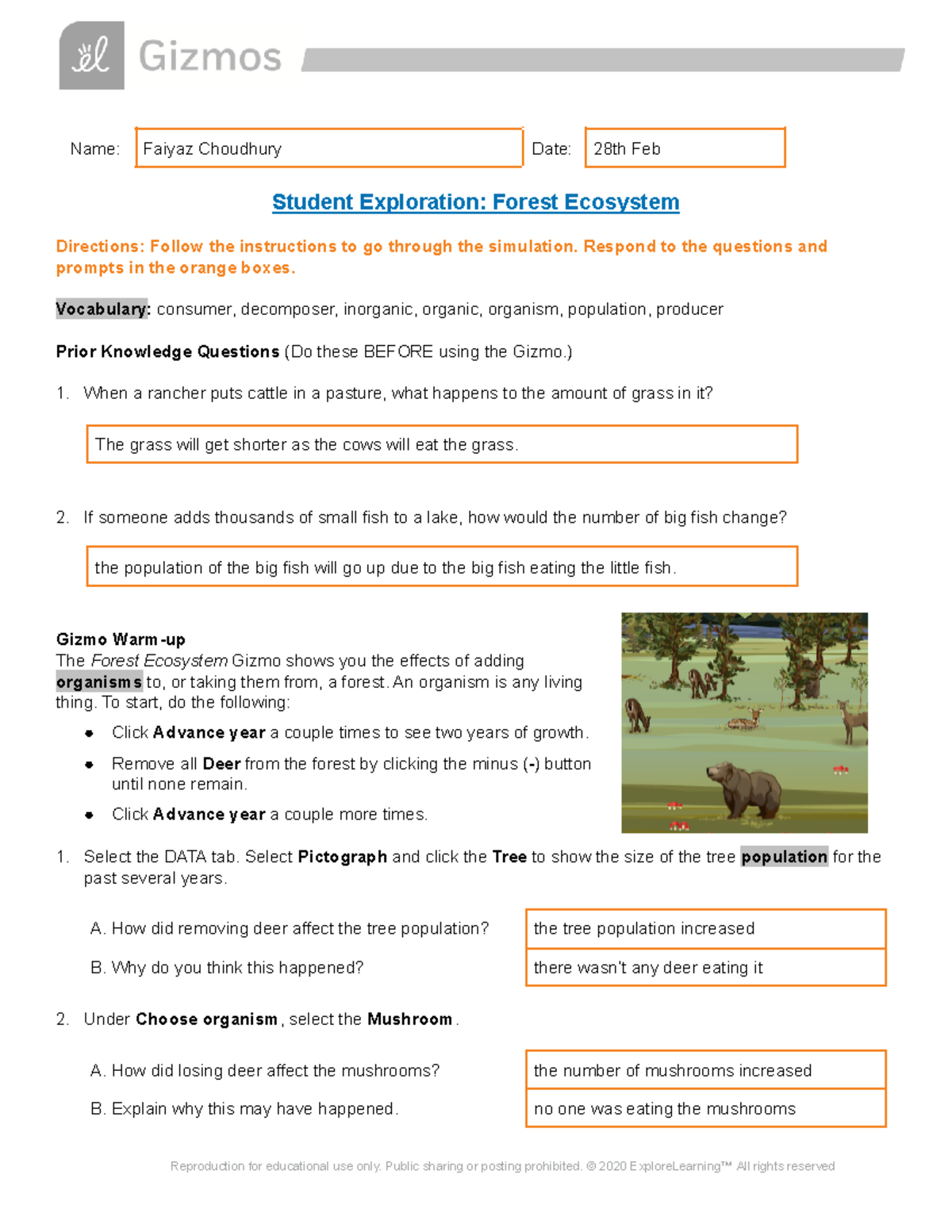 Forest Ecosystem Simulation Exploration SE - Studocu