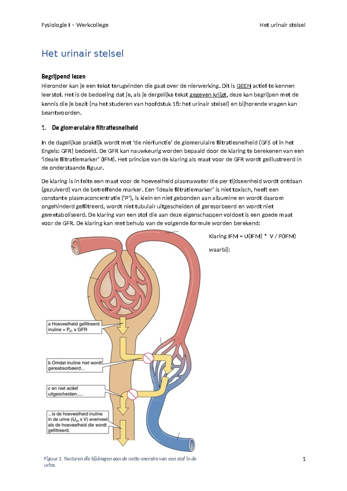 Fysiologie I Werkcollege 5: Het Urinair Stelsel (Deel 1) - Studocu