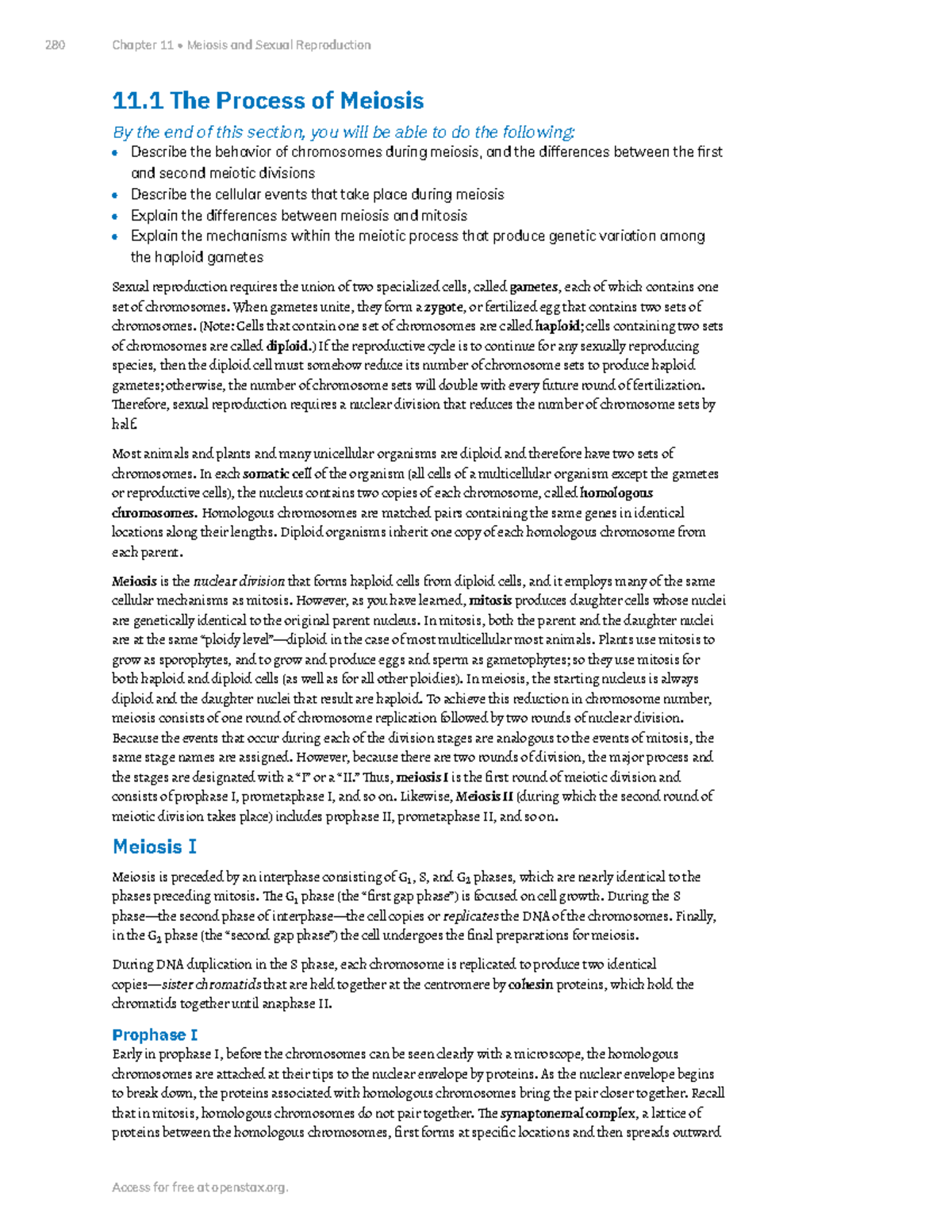 Meiosis and Genetic Variation: Processes, Stages, and Importance - 11 ...