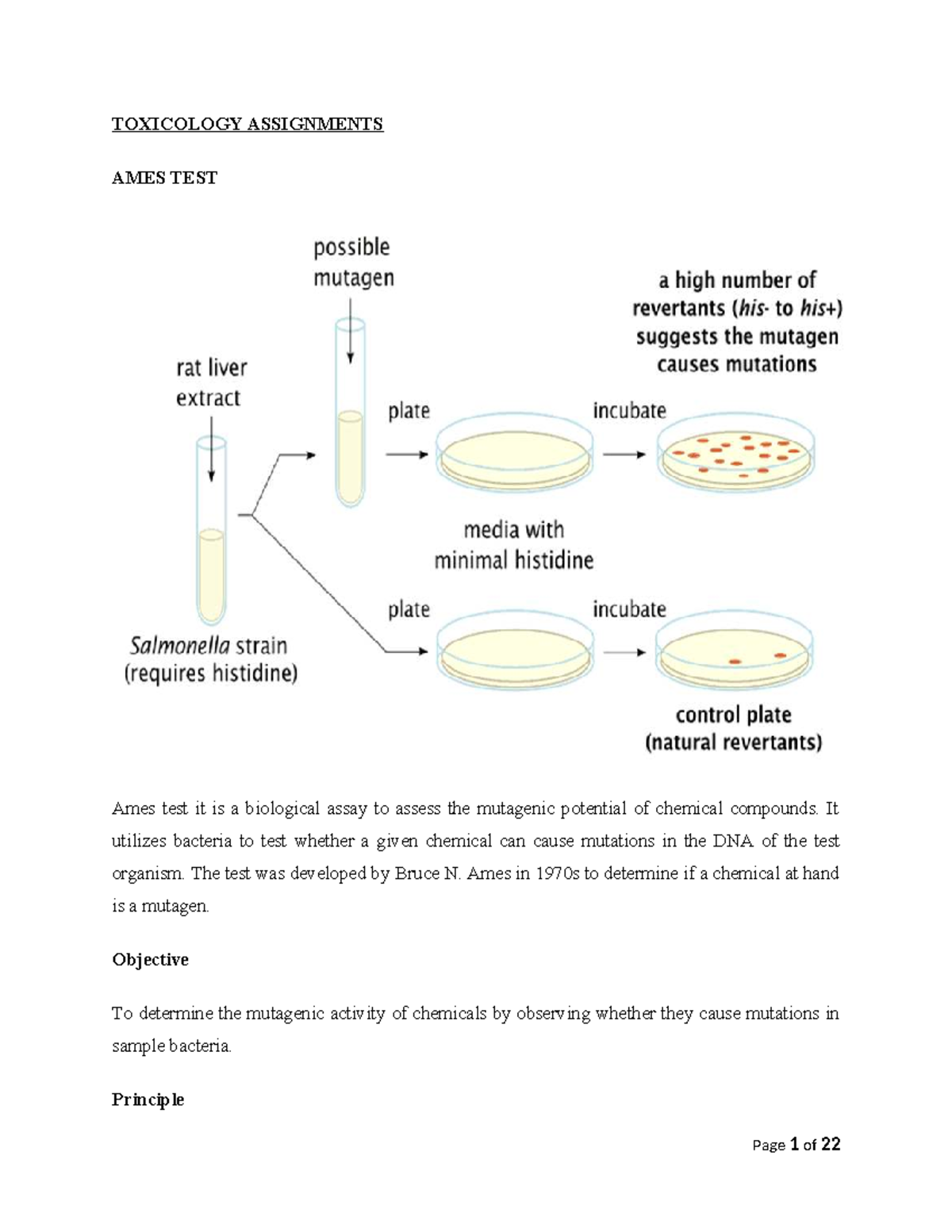 Toxicology Assignments: Understanding the Ames Test and Insecticides ...