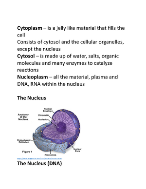 AP Biology Unit 1 Practice Questions Chemistry of Life - Unit 1 ...