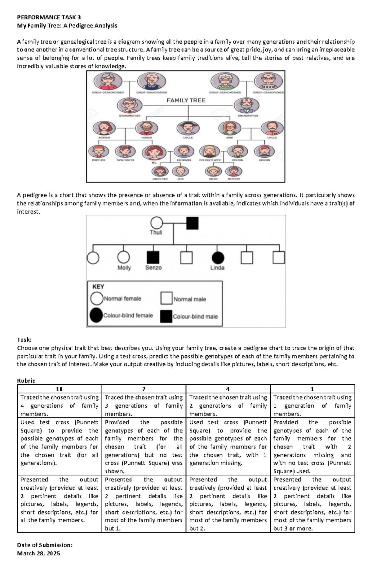 Performance-TASK-3 4th- Quarter - PERFORMANCE TASK 3 My Family Tree: A ...