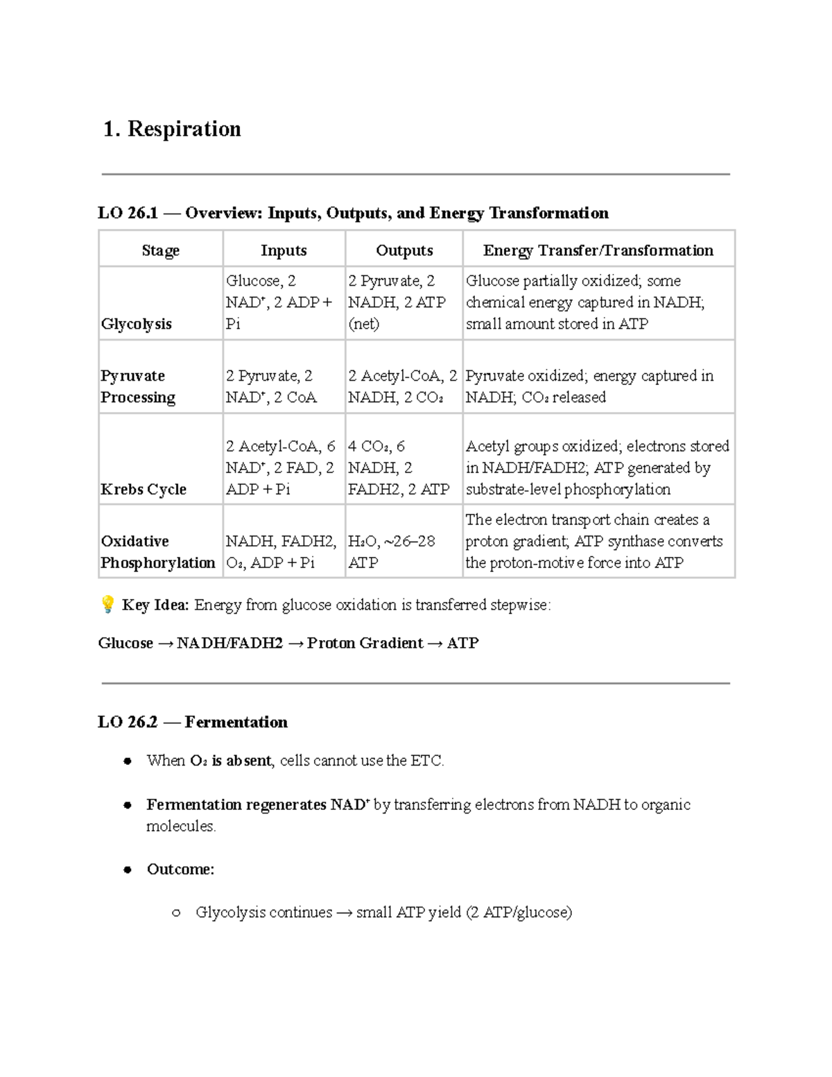 Respiration and Photosynthesis Overview - Studocu