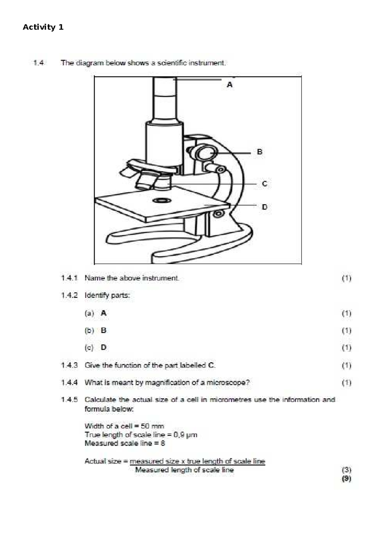 Activity 1 & 2: Calculations on Magnification in Microscopy - Studocu