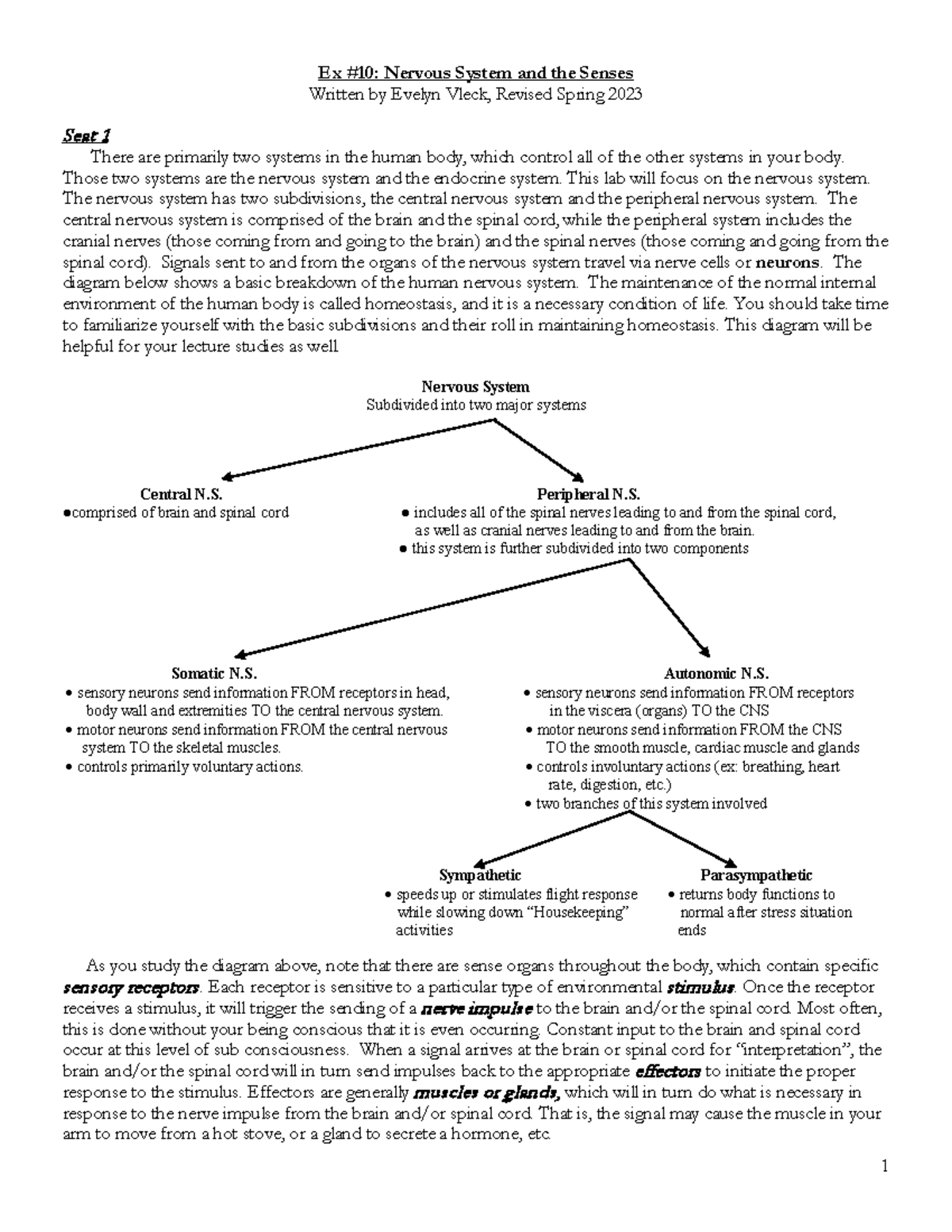 Ex #10: Revised Nervous System & Senses Study Guide - Spring 2023 - Studocu