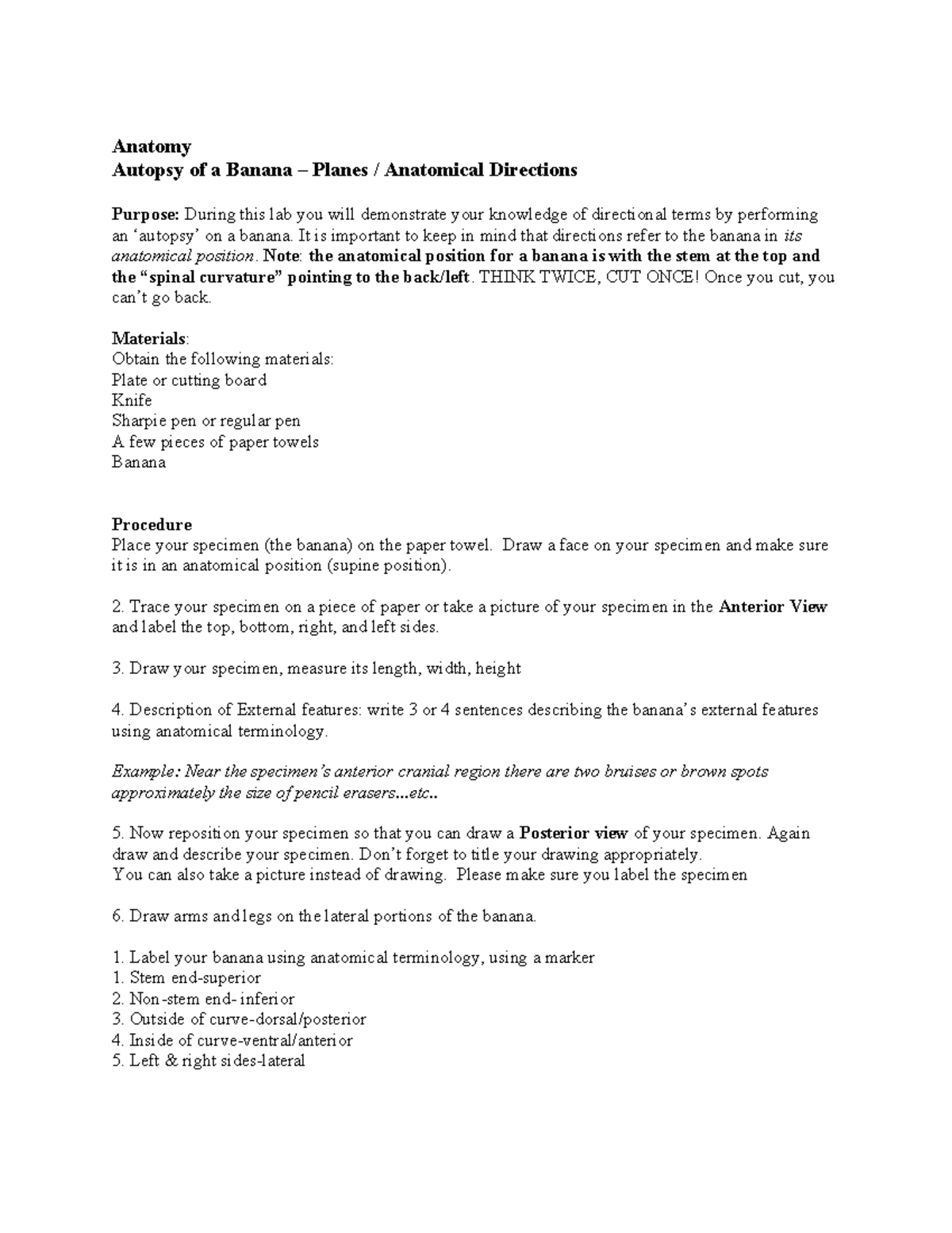 BIOL 101: Banana Autopsy Lab - Anatomical Structure & Directions - Studocu