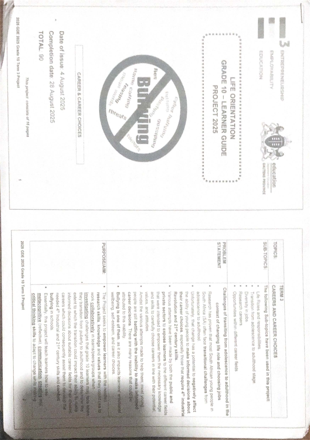 Grade 10 Life Orientation Term 3 Project: Career Choices & Challenges ...