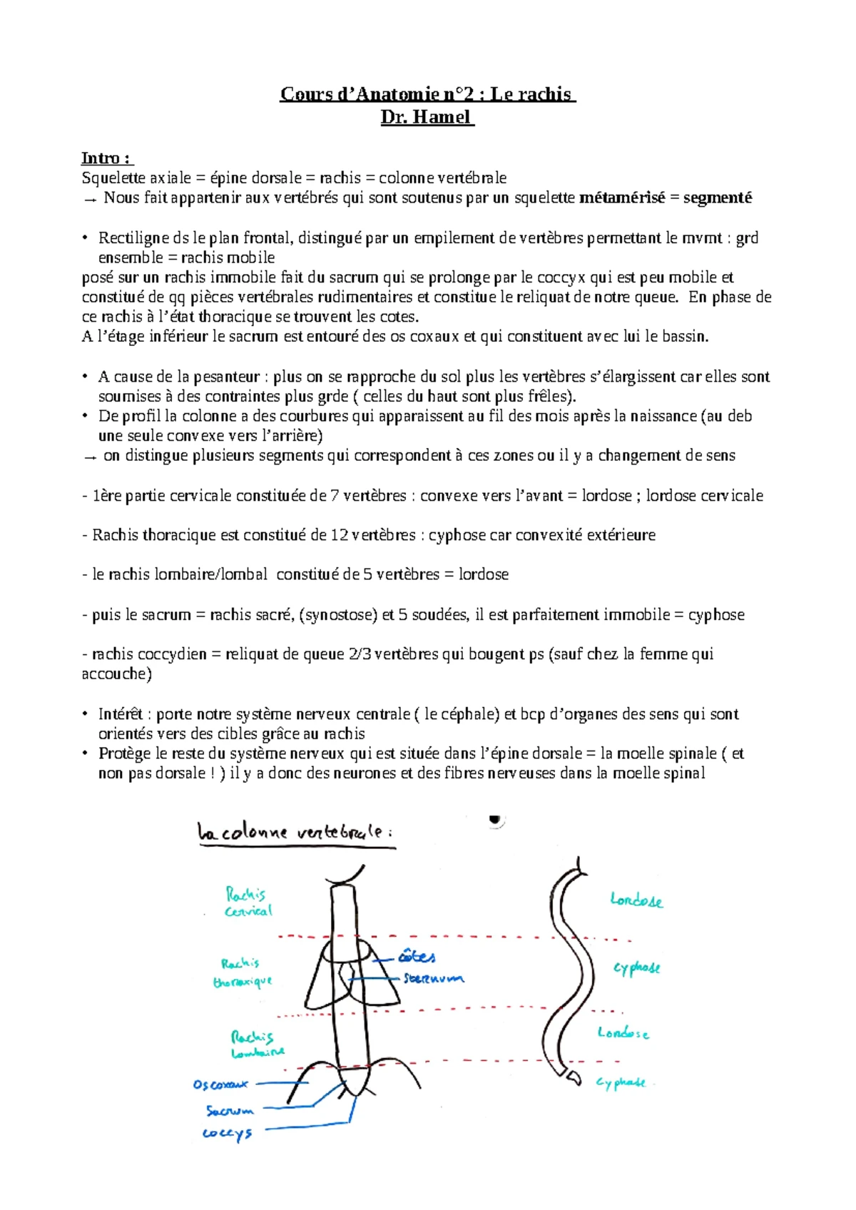 Tete et cou 1 - Anatomie Pr. Hamel - Tête et cou anat G vue latérale ...