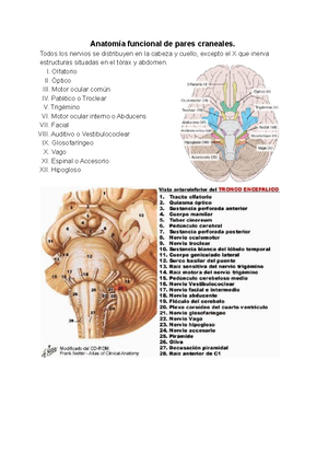 Signos Abdominales - SIGNOS ABDOMINALES SIGNO DESCRIPCIÓN DIAGNÓSTIC O ...
