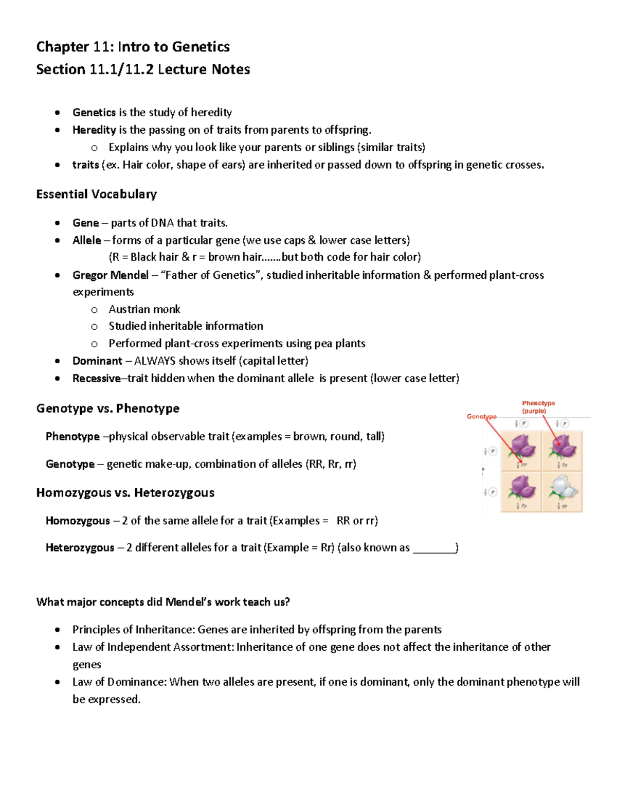 Intro to Genetics: Chapter 11.1/11.2 Lecture Notes Summary - Studocu
