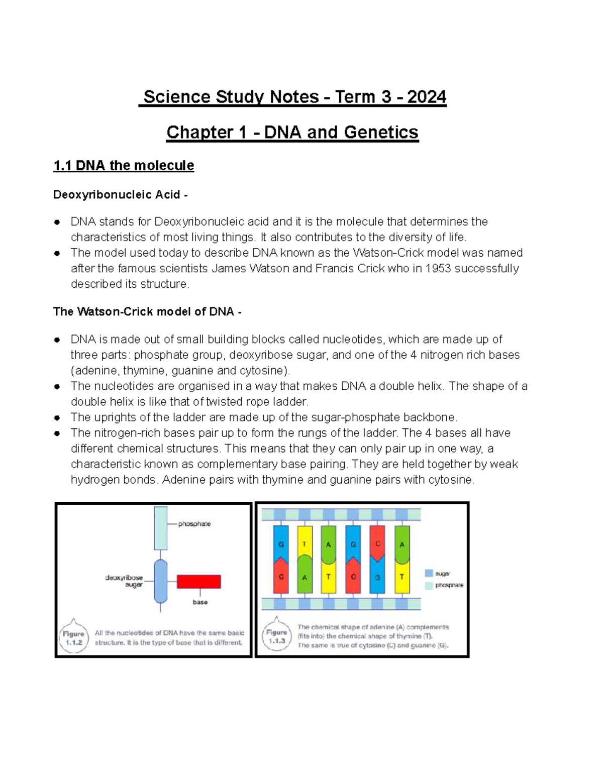 Science Study Notes - Term 3 2024: DNA, Genetics & Fossils - Studocu