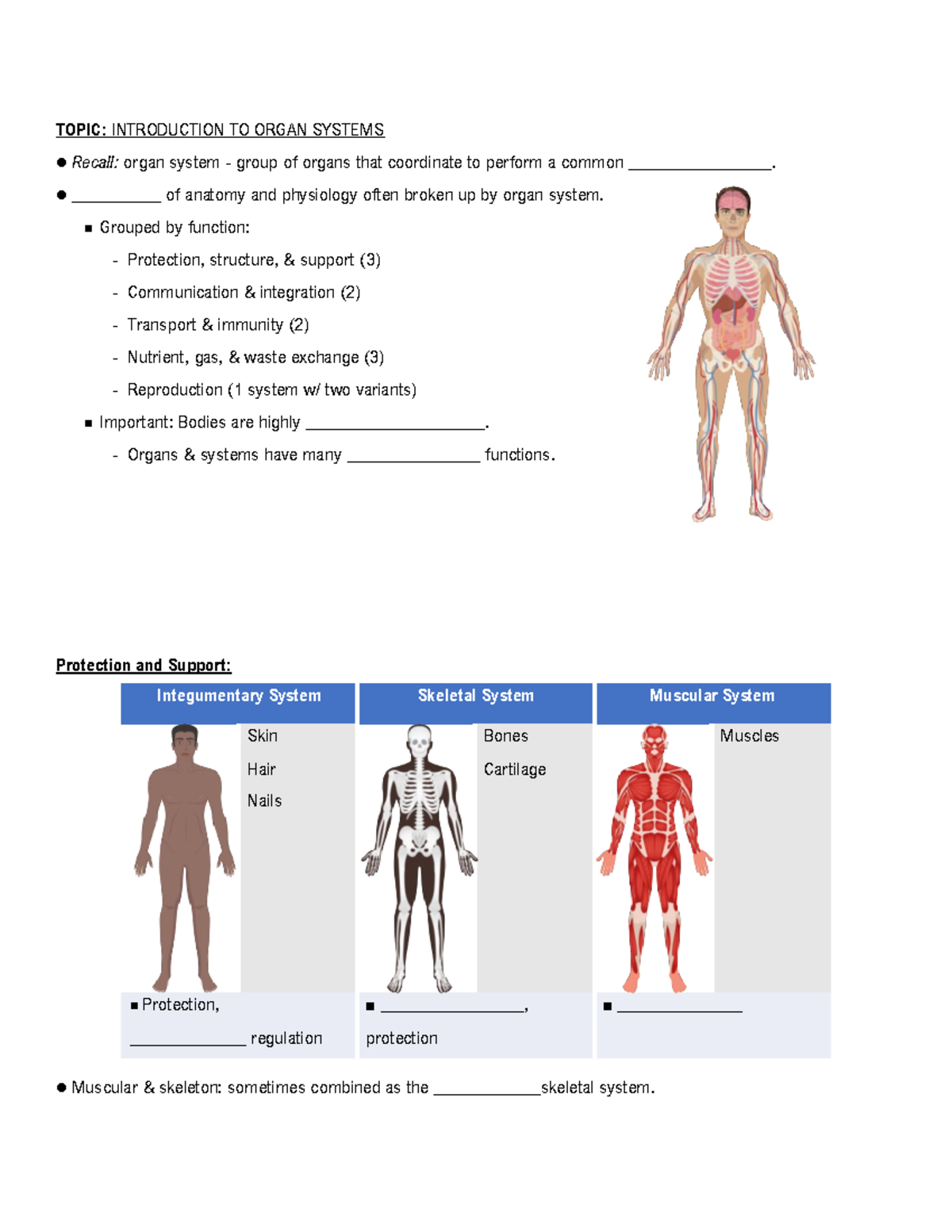 Introduction to Organ Systems-worksheet - TOPIC: INTRODUCTION TO ORGAN ...