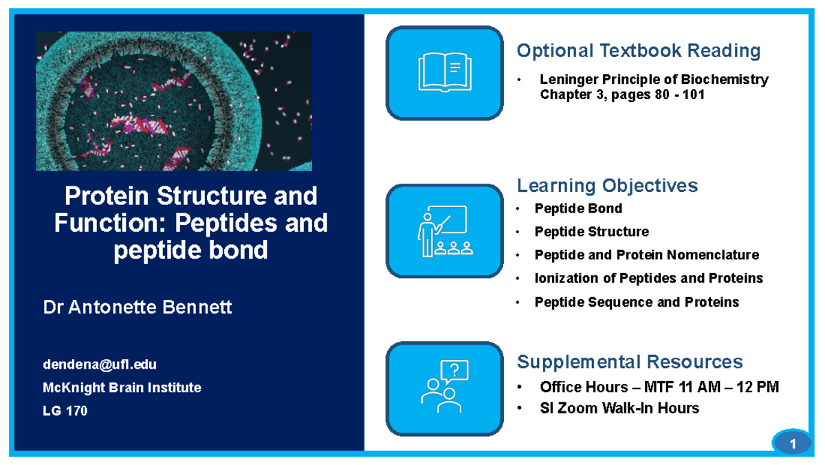 Biochemistry Exam Notes: Peptide Formation, Structure & Function (BIO ...